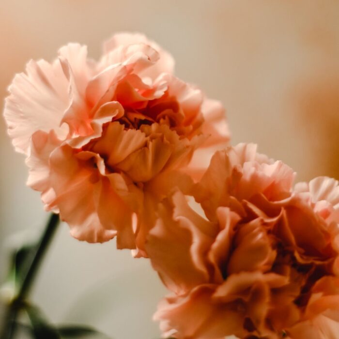 Gracious Space - Eastside Pathways